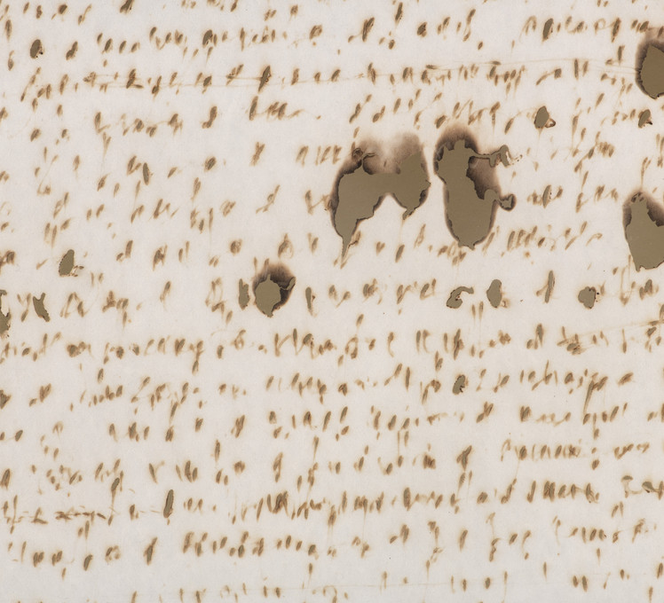 Raquel Kogan - Artists - DAN Galeria