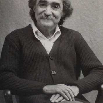 Jesús Rafael Soto - Artistas - DAN Galeria