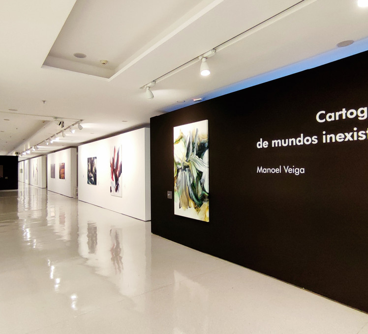 MAC-USP apresenta individual de Manoel Veiga - Notícia - DAN Galeria