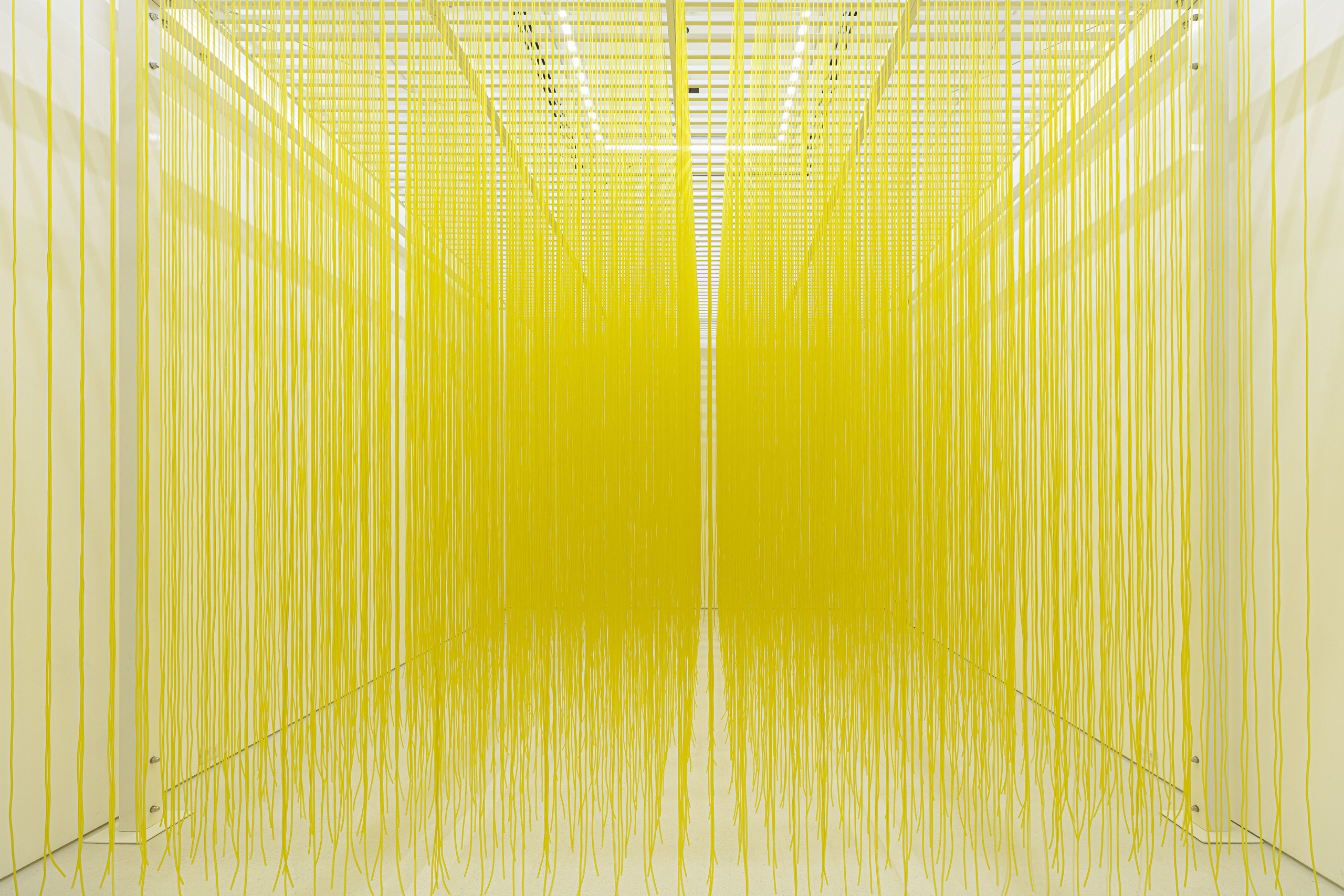 Jesús Soto - Exhibitions - DAN Galeria