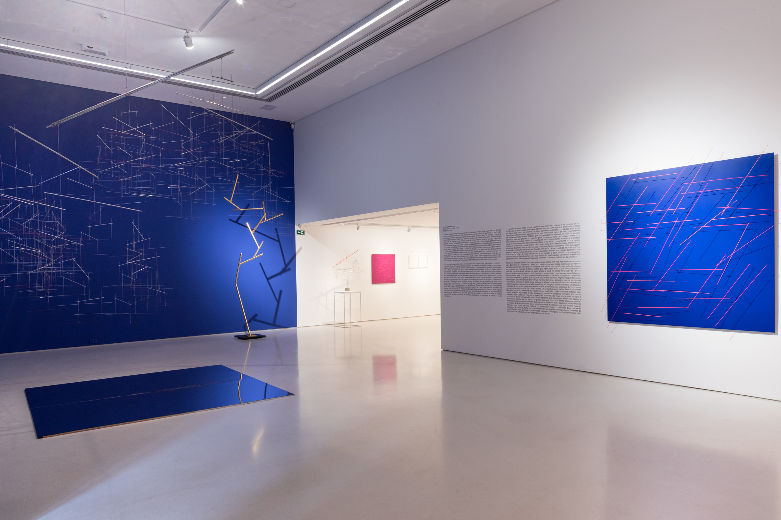 Knopp Ferro - Levitating Colour - Exposições - DAN Galeria